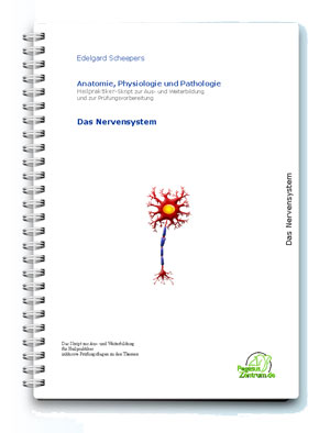 Heilpraktiker Skript - das Nervensystem - HPPsycho